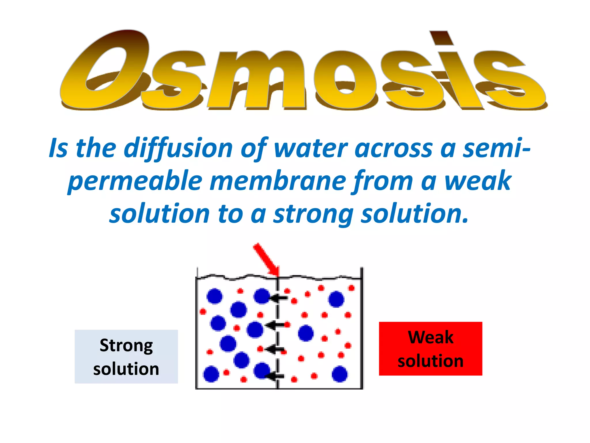 Osmosis, diffusion, active transport | PPT