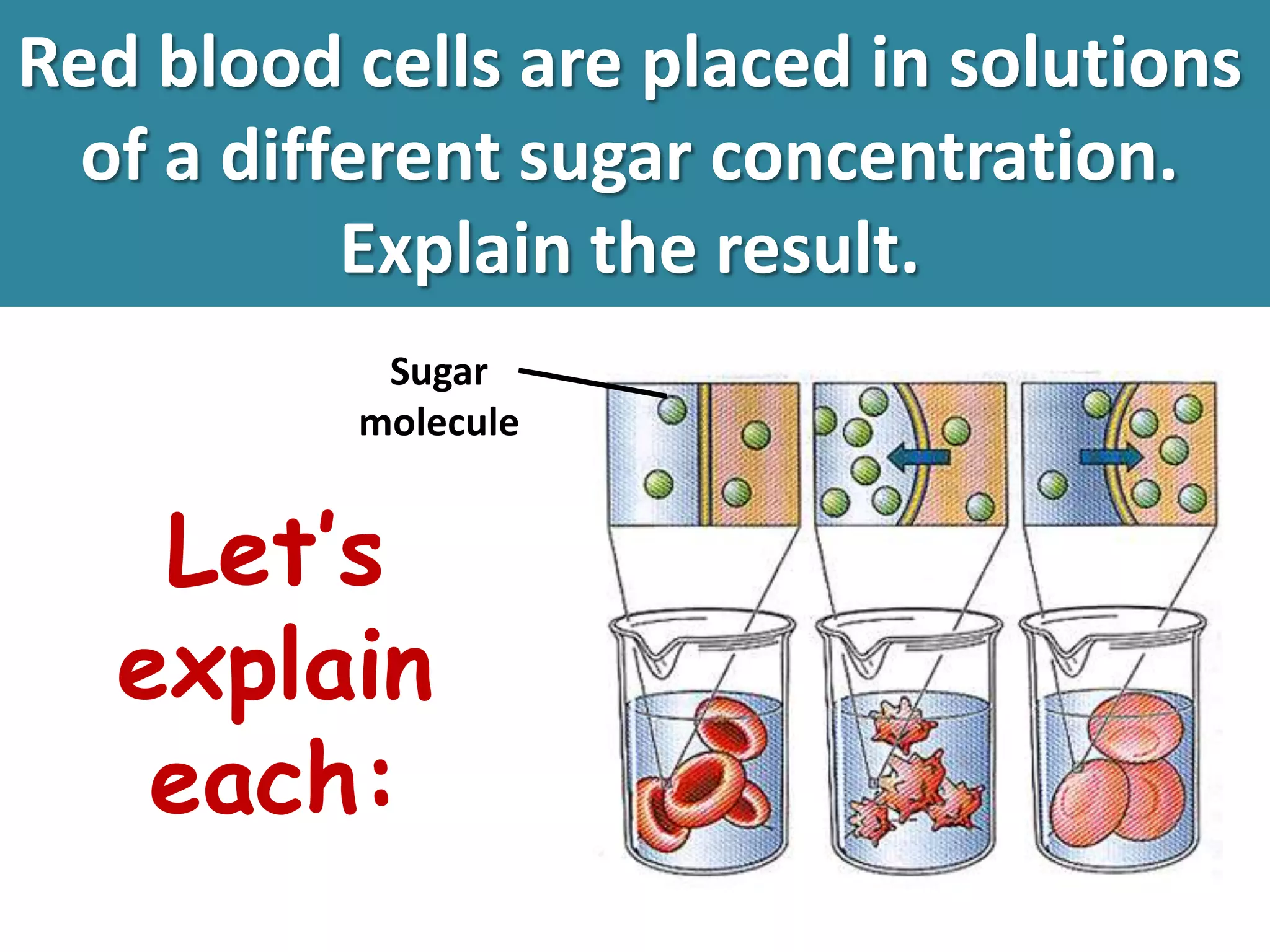 Osmosis, diffusion, active transport | PPTX