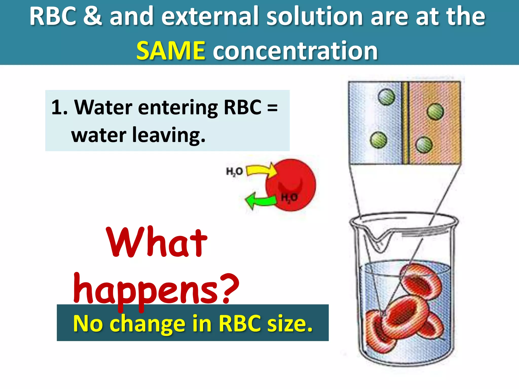Osmosis, diffusion, active transport | PPTX