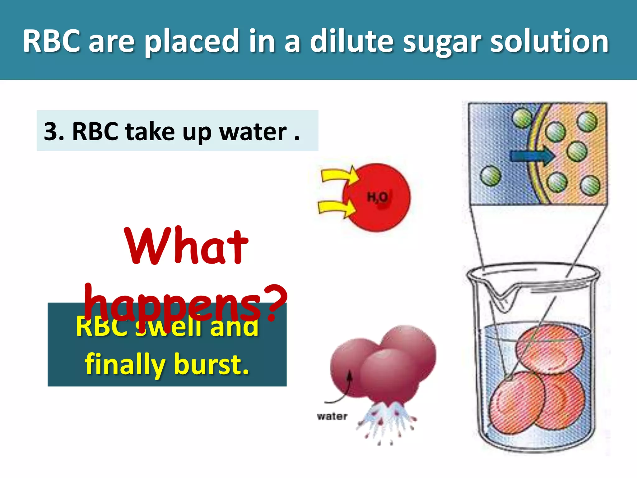 Osmosis, diffusion, active transport | PPTX