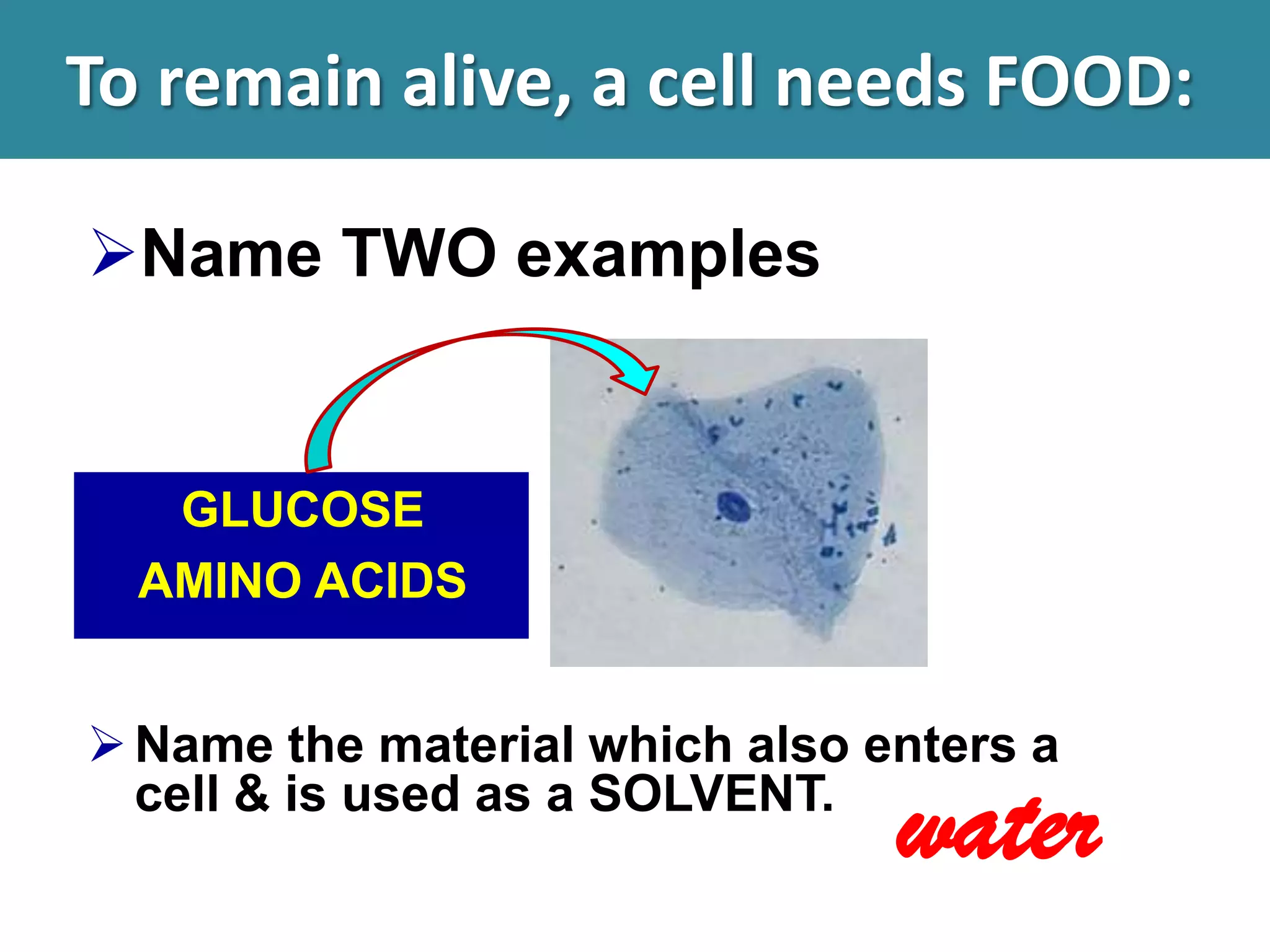 Osmosis, diffusion, active transport | PPTX