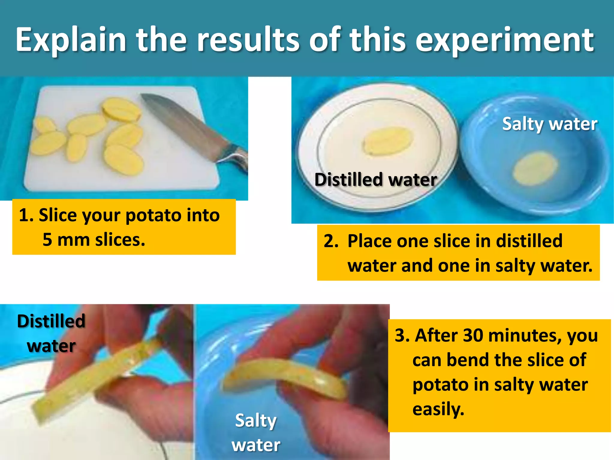 Osmosis, diffusion, active transport | PPTX