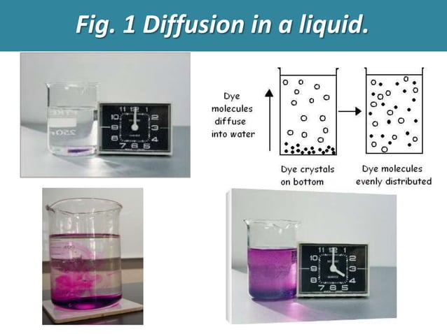 Osmosis, diffusion, active transport | PPTX
