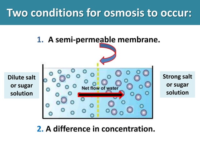 Osmosis, diffusion, active transport | PPTX
