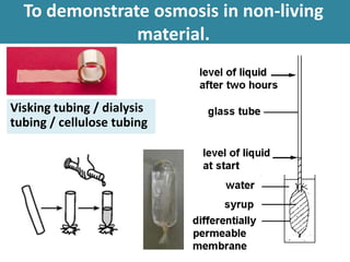 Osmosis, diffusion, active transport | PPTX