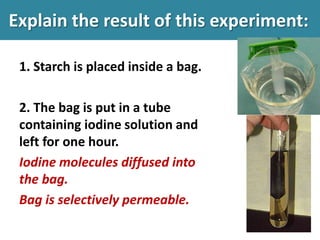 Osmosis, diffusion, active transport | PPTX