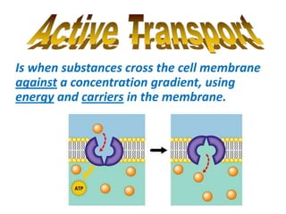 Osmosis, diffusion, active transport | PPTX