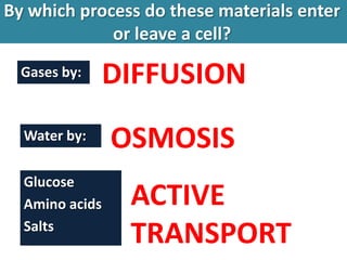 Osmosis, diffusion, active transport | PPTX