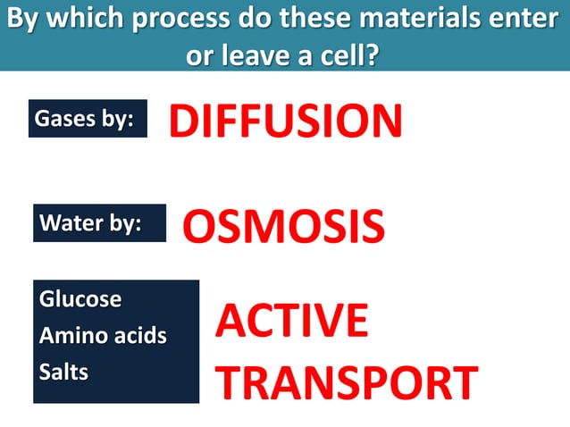 Osmosis, diffusion, active transport | PPTX