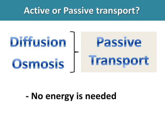 Osmosis, diffusion, active transport | PPTX