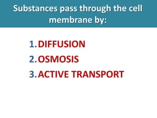Passive Transport Osmosis