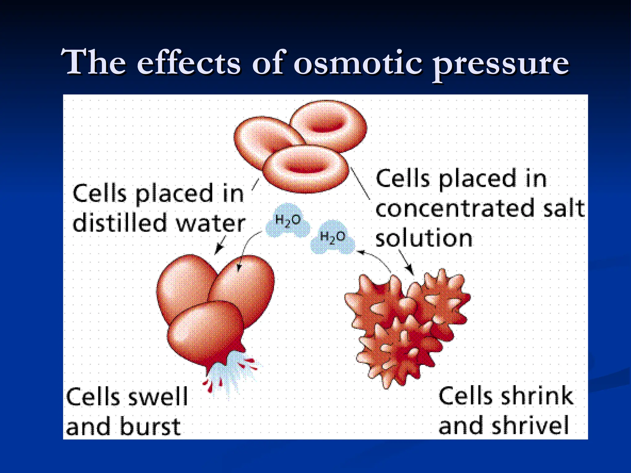Osmosis Diffusion a simple introduction.ppt