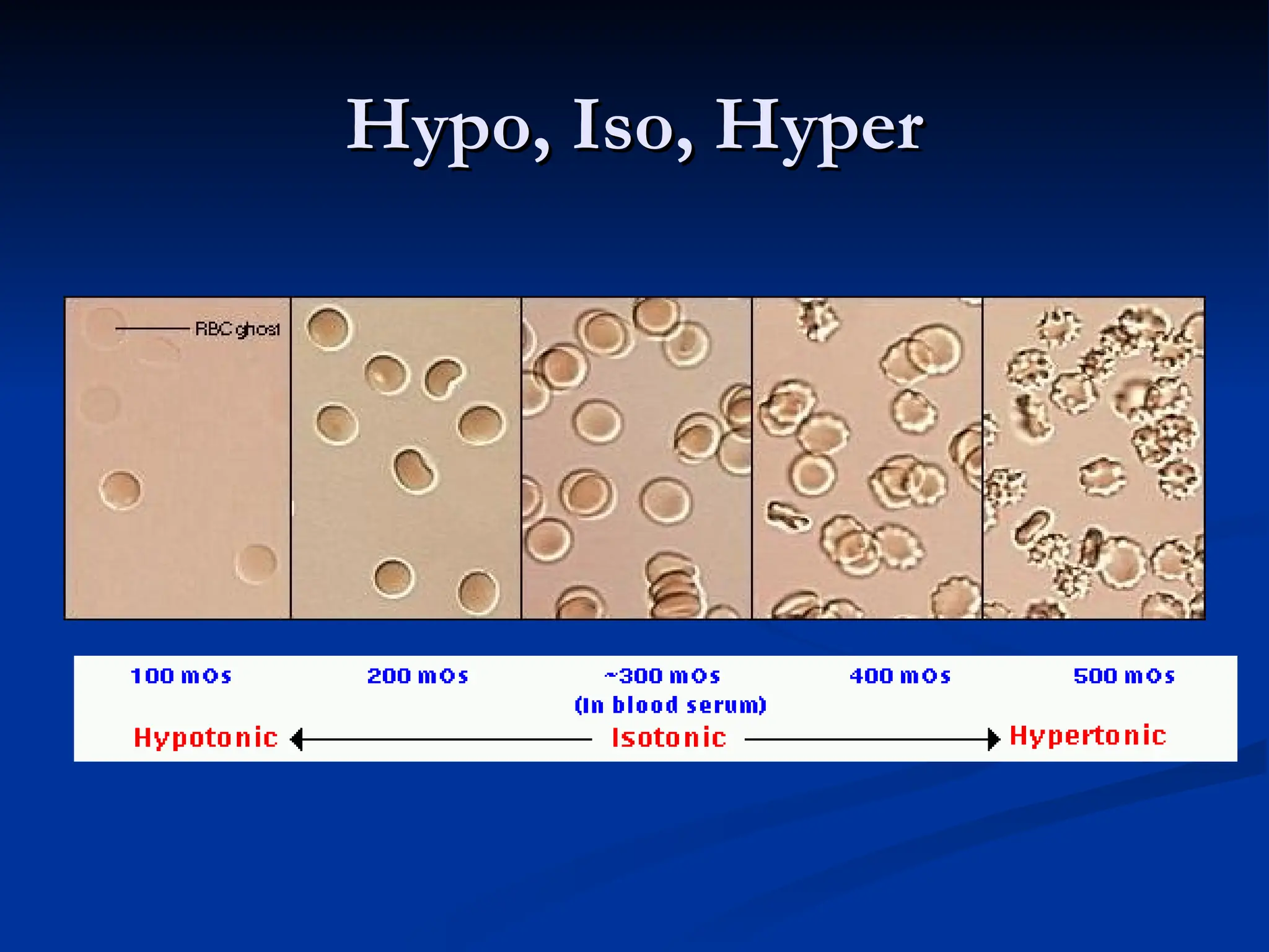 Osmosis Diffusion a simple introduction.ppt
