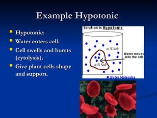 Osmosis Diffusion a simple introduction.ppt