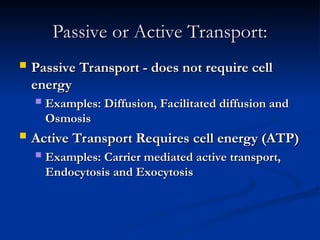 Osmosis Diffusion a simple introduction.ppt