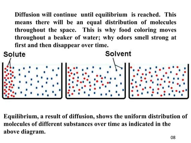 Osmosis, diffusion presentation | PPTX