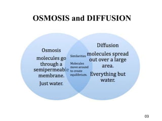 Diffusion And Osmosis Venn Diagram