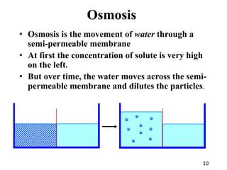 Osmosis, diffusion presentation | PPT