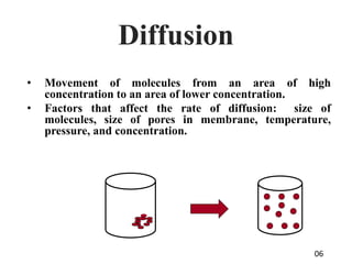 Osmosis, diffusion presentation | PPT
