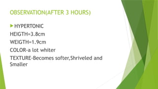 OSMOSIS (GROUP 2)CUCUMBER EXPERIMENT.pptx