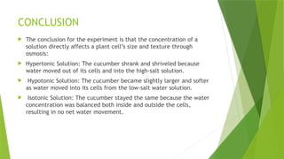OSMOSIS (GROUP 2)CUCUMBER EXPERIMENT.pptx