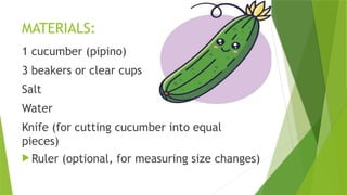 OSMOSIS (GROUP 2)CUCUMBER EXPERIMENT.pptx