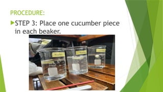 OSMOSIS (GROUP 2)CUCUMBER EXPERIMENT.pptx