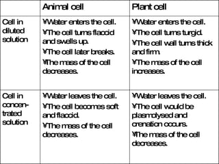 Osmosis In Cells | PPT