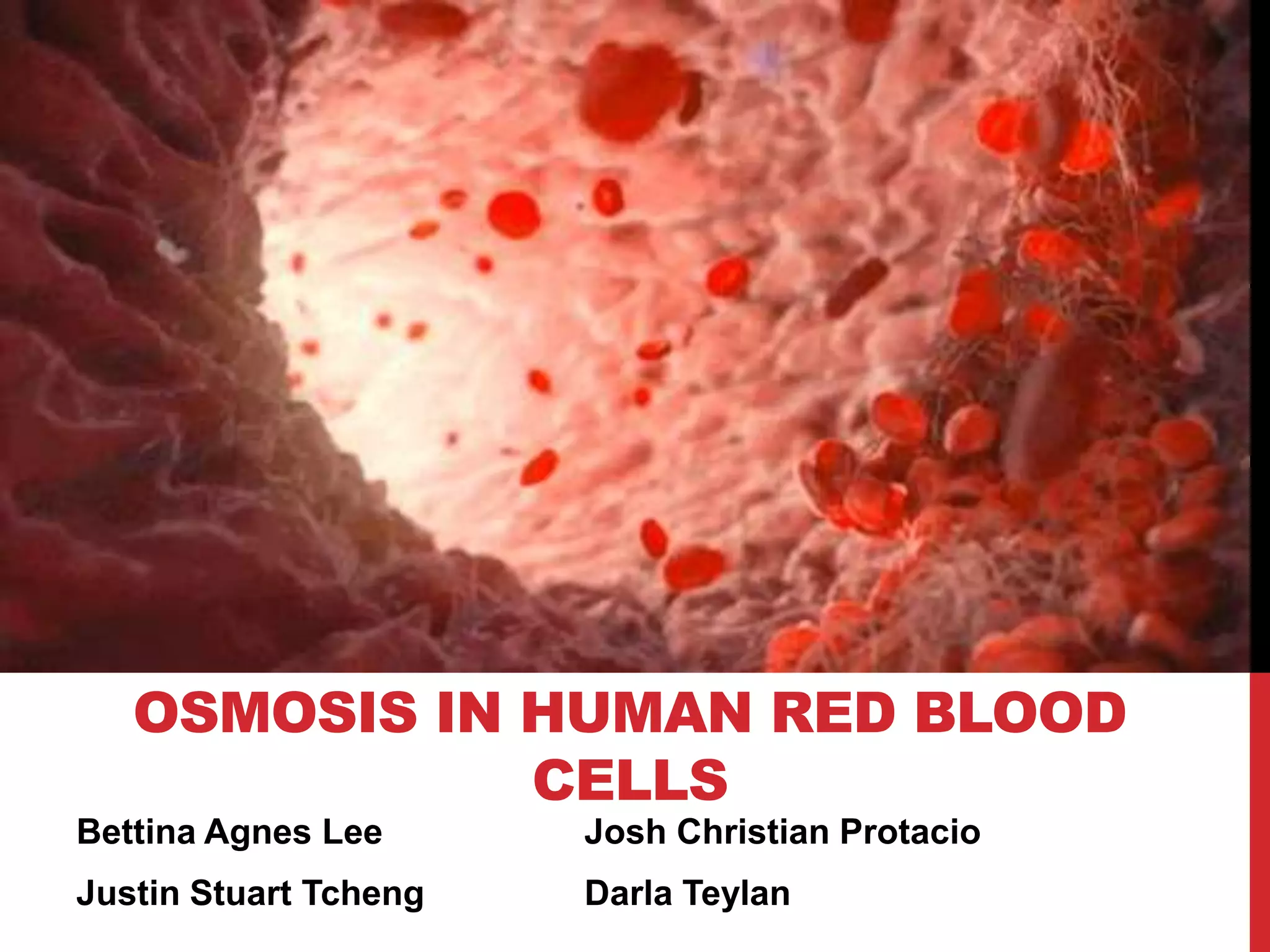 Bio22 Lab - Ex 4 (Cell Transport - Osmosis in Human RBC) | PPTX