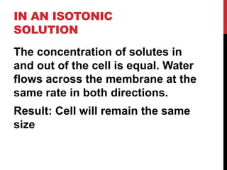 Bio22 Lab - Ex 4 (Cell Transport - Osmosis in Human RBC) | PPTX