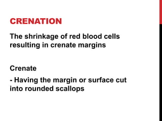 Bio22 Lab - Ex 4 (Cell Transport - Osmosis in Human RBC) | PPTX