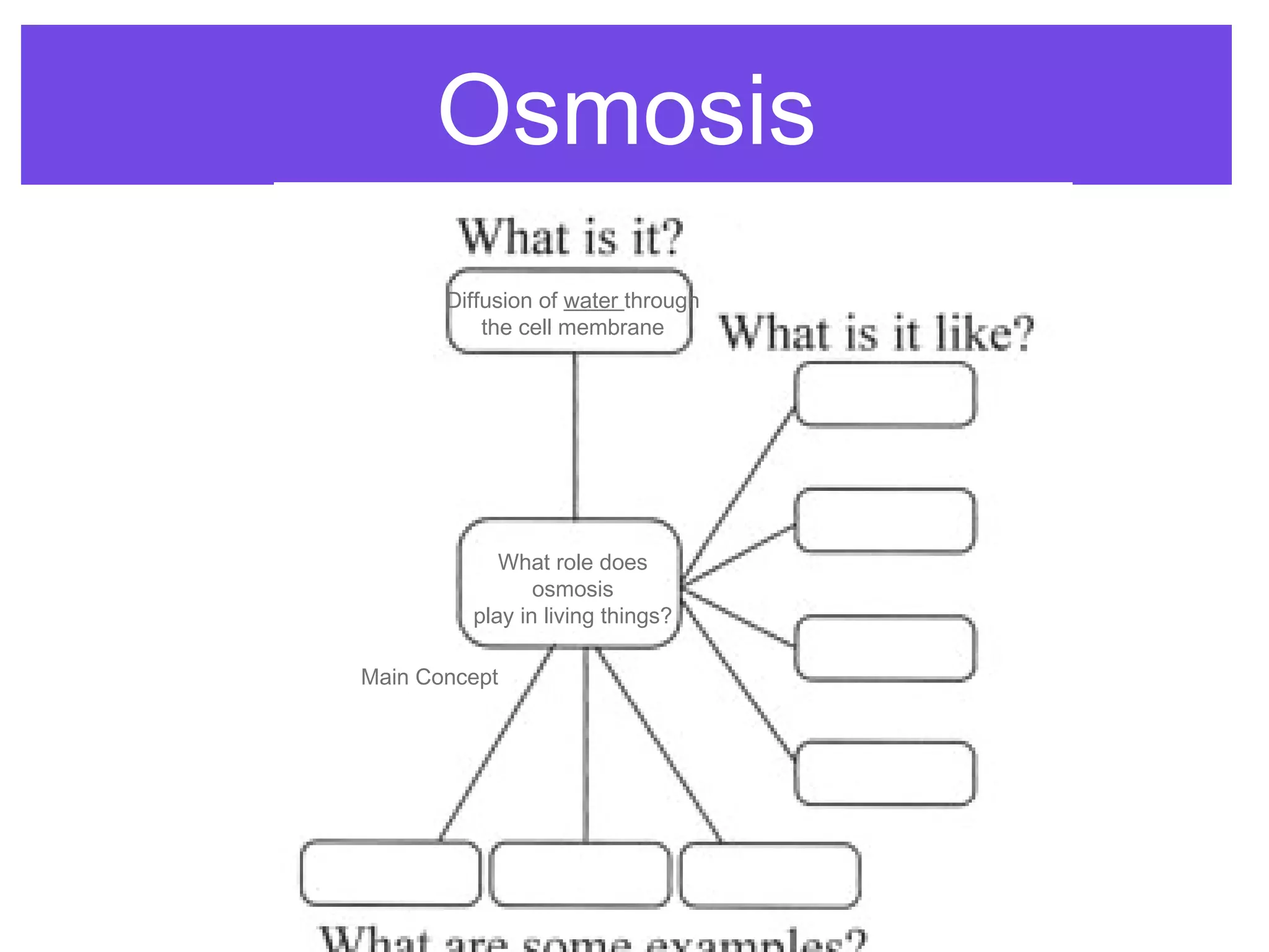 Osmosis lesson ppt | PPT