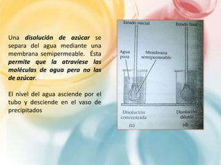Osmosis natalia fabre | PPTX