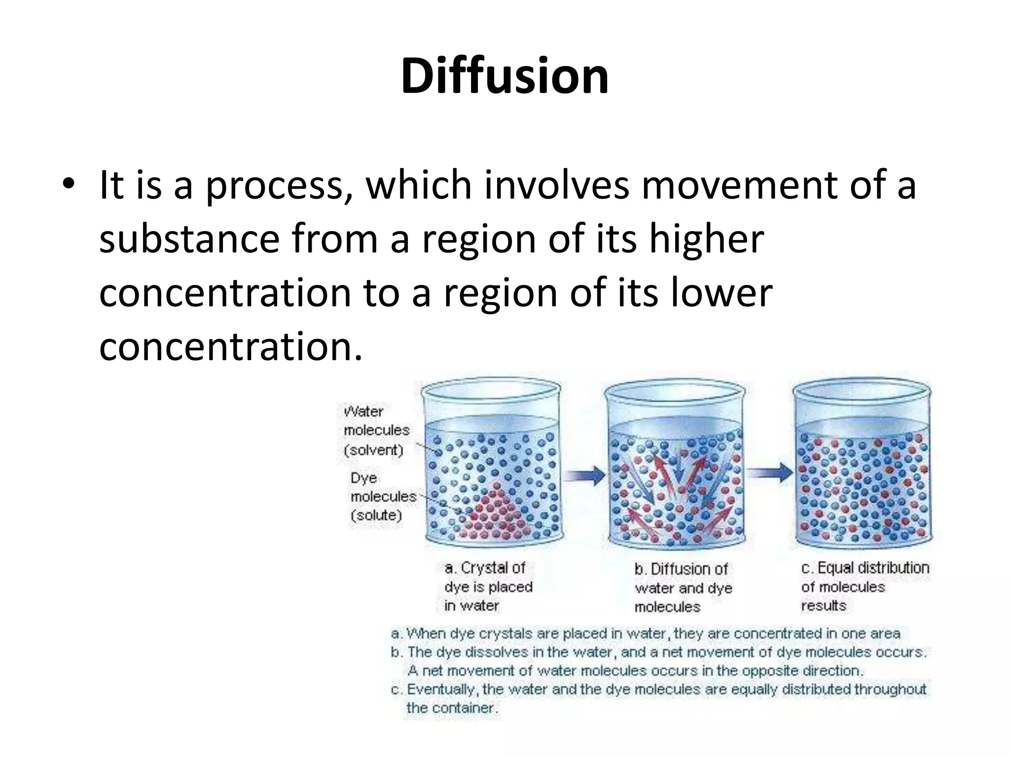 Osmosis n diffusion | PPTX