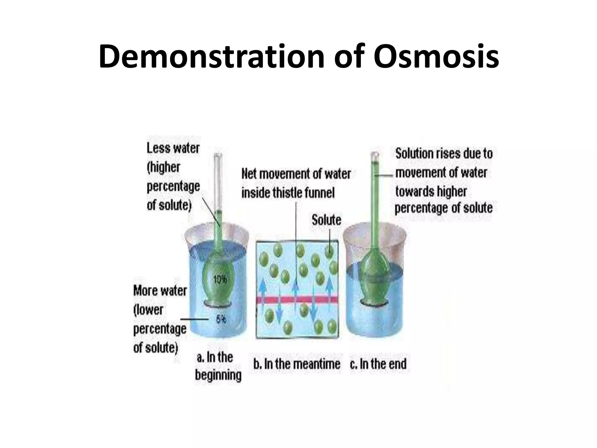 Osmosis n diffusion | PPTX
