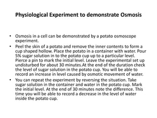 Osmosis n diffusion | PPTX