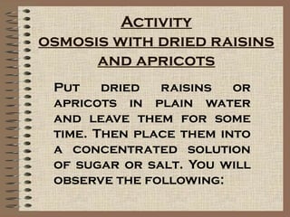 Osmosis presentation | PPT