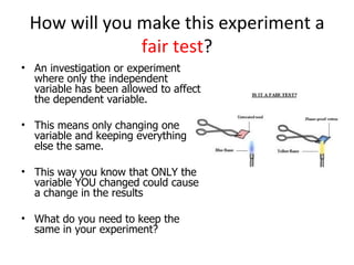 Osmosis report powerpoint | PPT