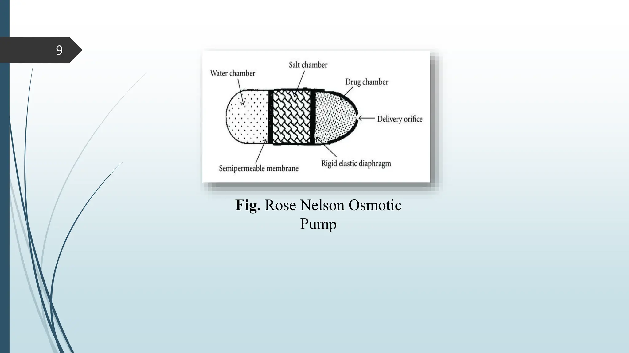 Osmotic activated Drug Delivery System Seminar(DDS).pptx