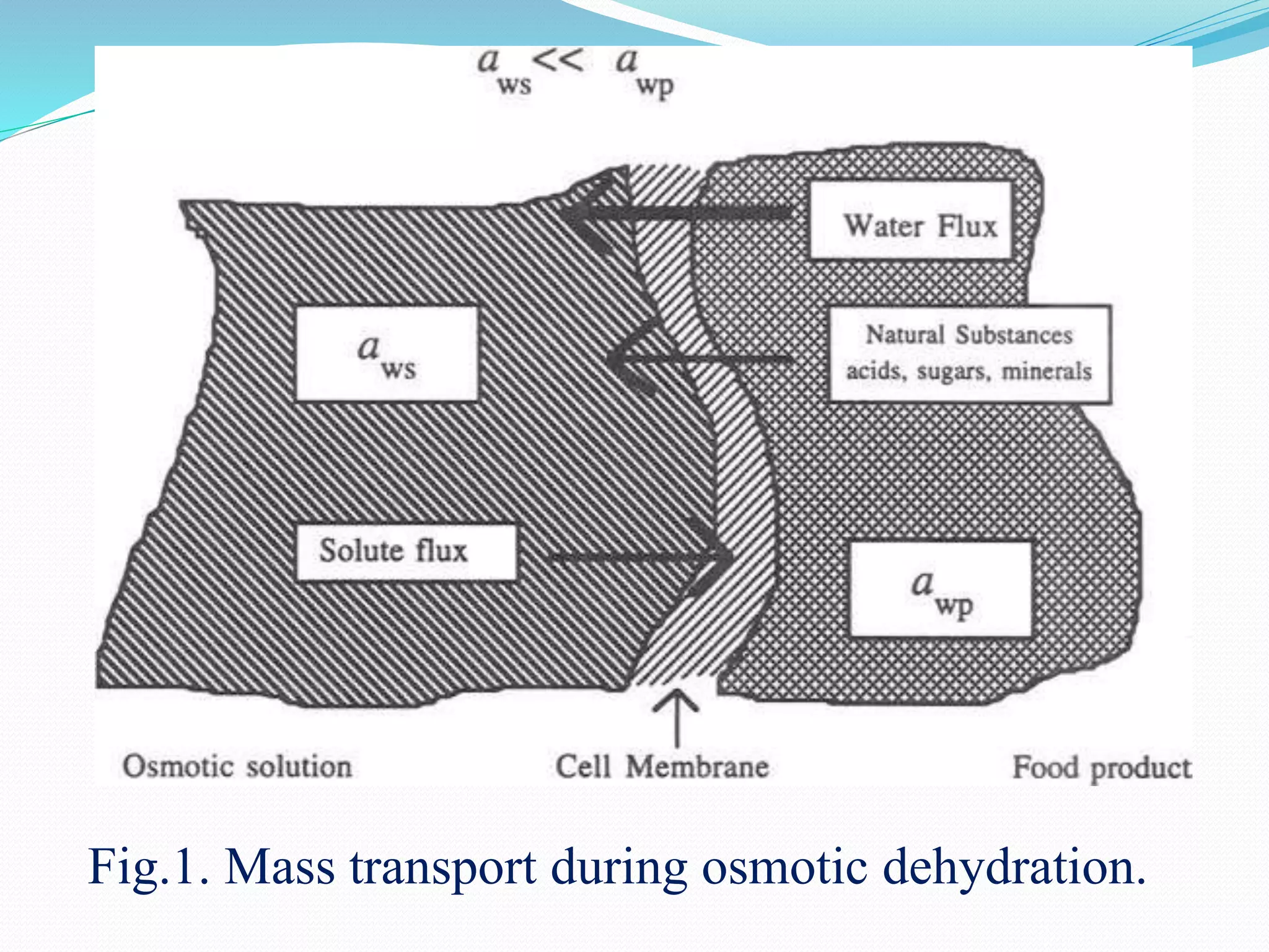 Osmotic dehydration of fruits | PPTX