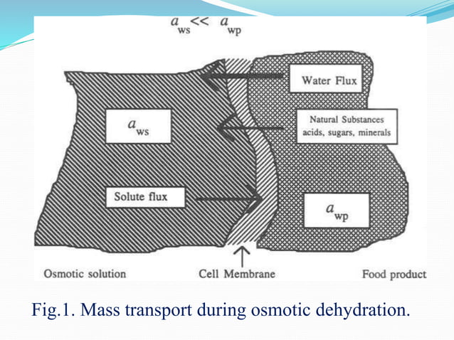 Osmotic Dehydration Of Fruits