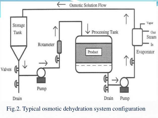 Osmotic dehydration of fruits