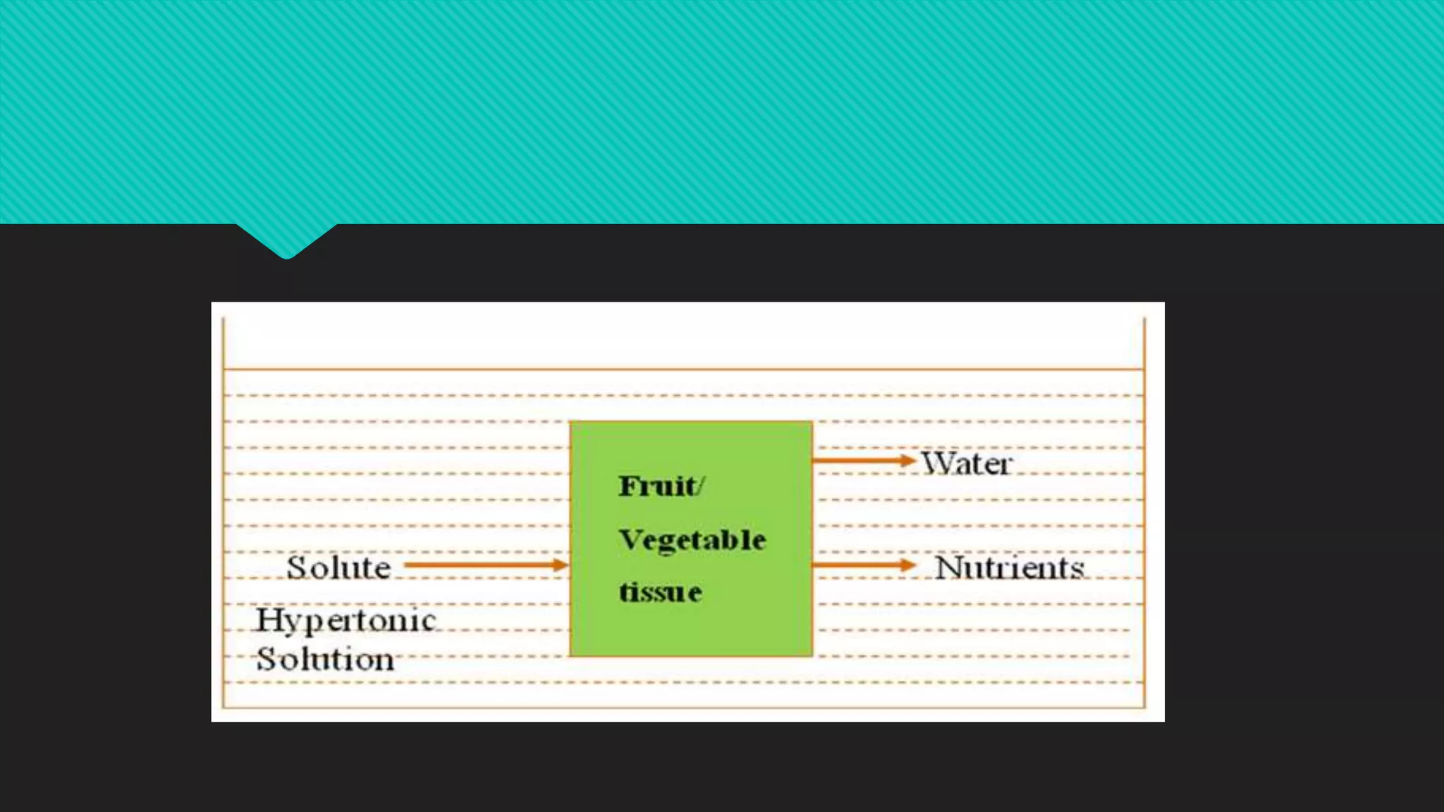 Osmotic Dehydration Pptx
