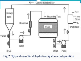 Osmotic Dehydration in Food Processing Sector | PPTX