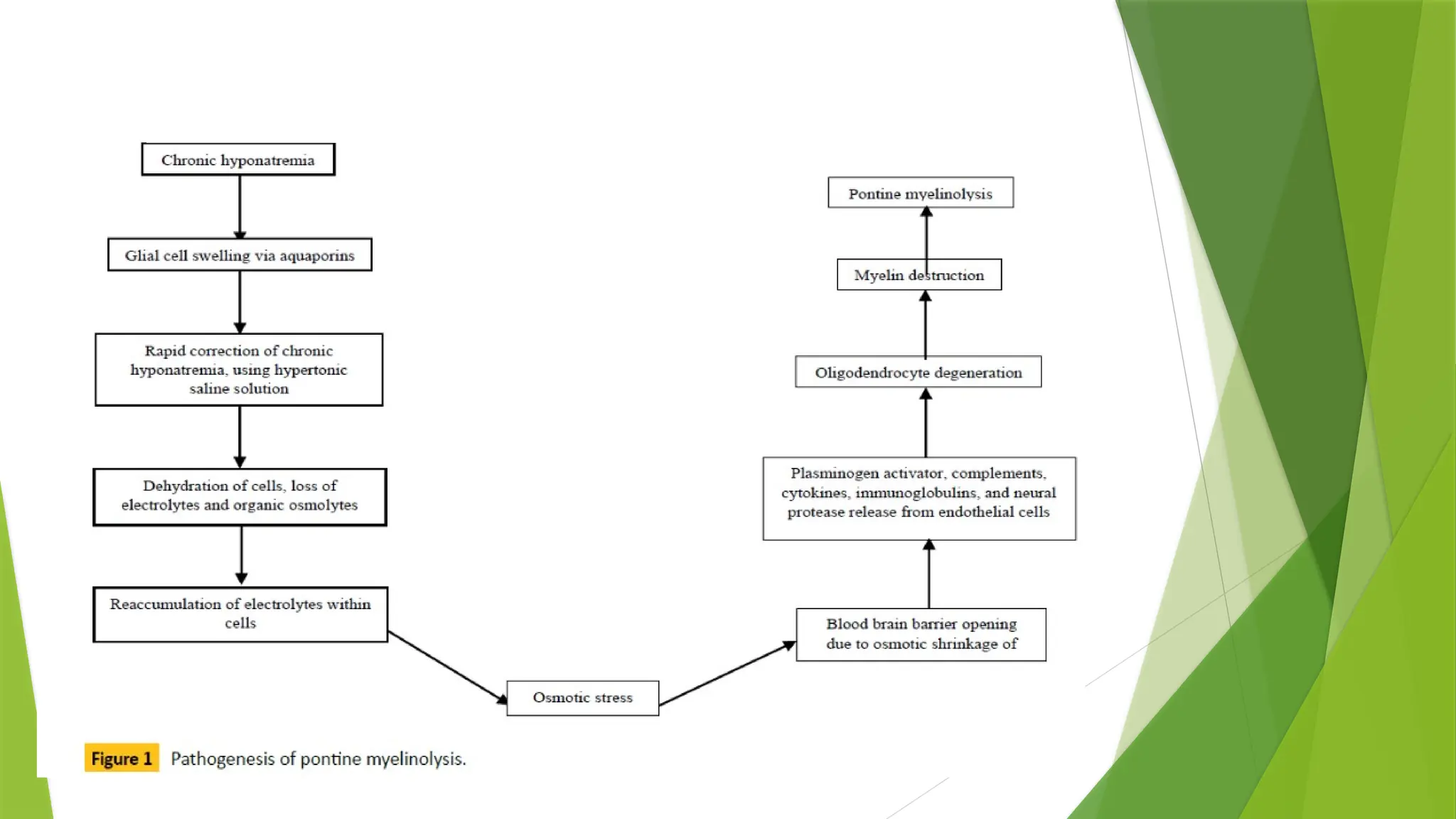 osmotic demyelination syndrome clinical scenario | PPTX