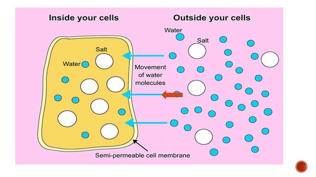 Osmotic diuretics | PPTX