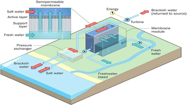 Osmotic Energy | PPTX