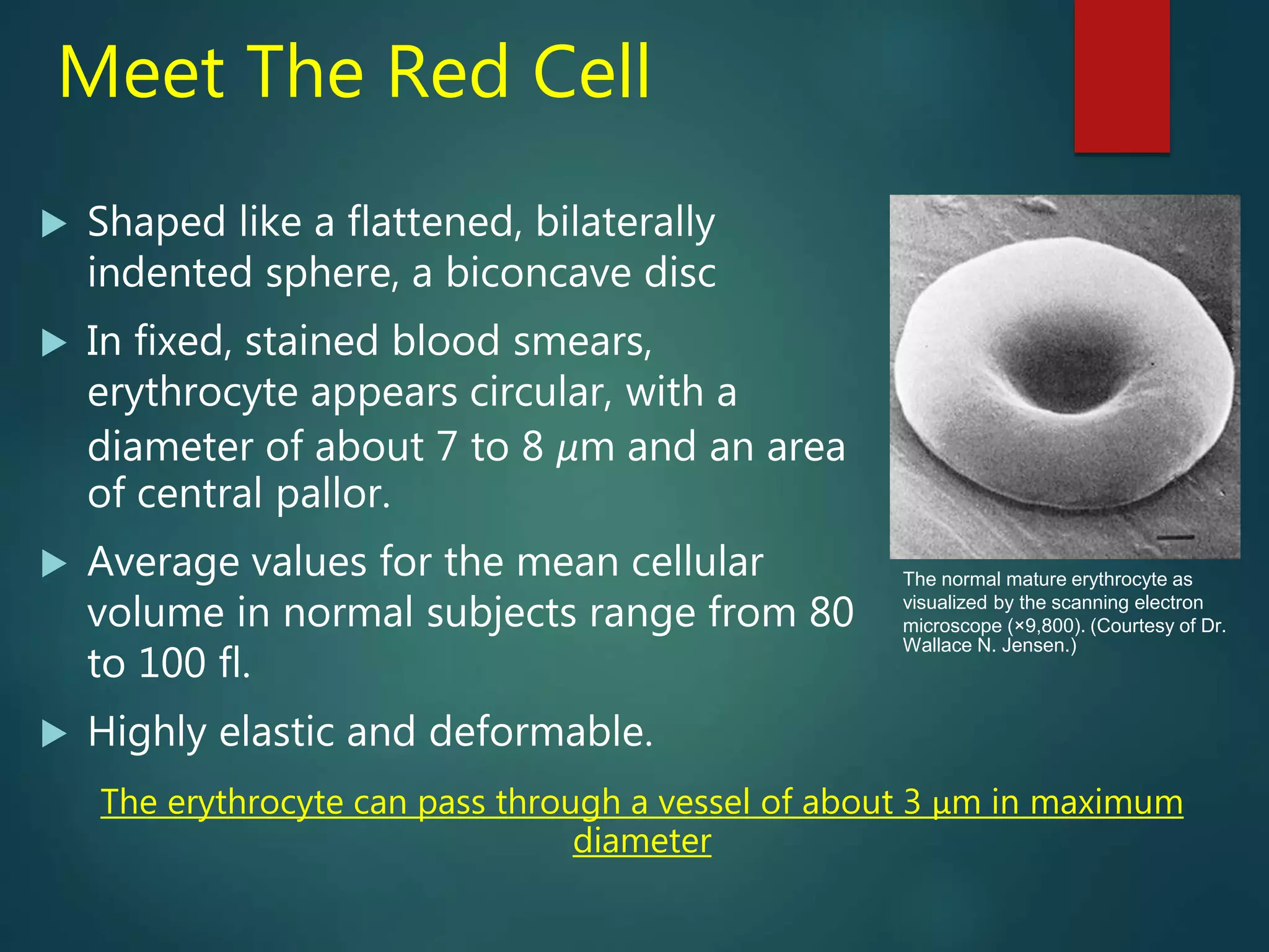 Osmotic fragility & rbc membrane defects 050916 | PPTX