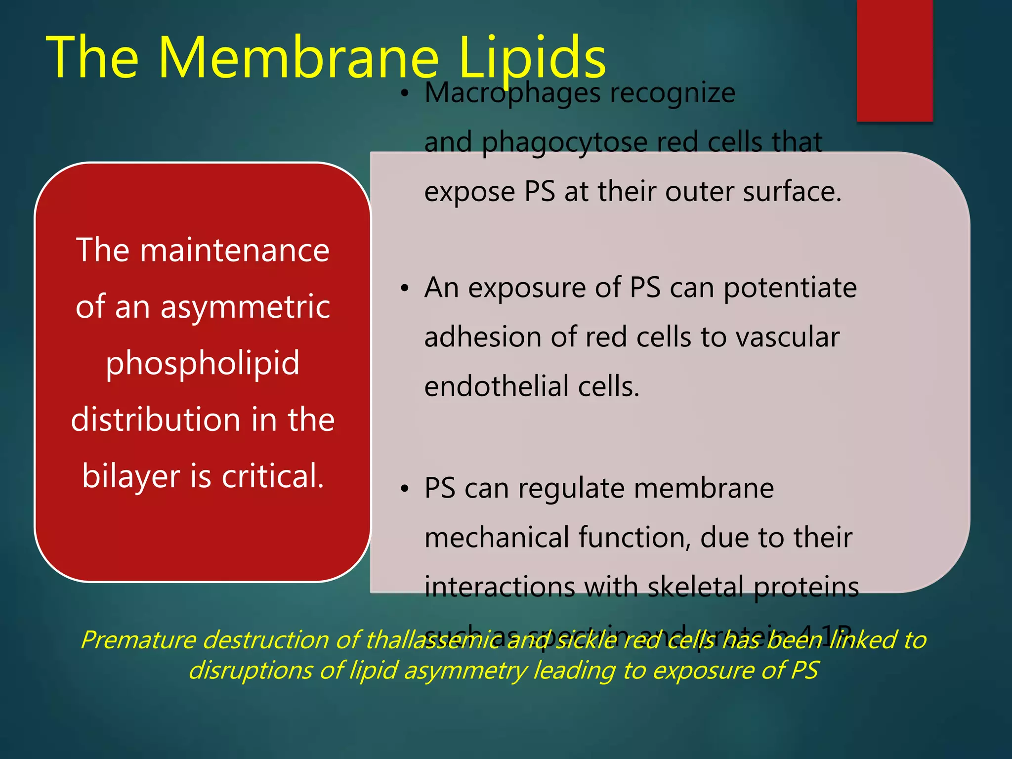 Osmotic fragility & rbc membrane defects 050916 | PPTX