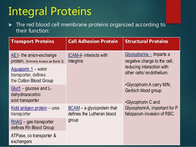 Osmotic fragility & rbc membrane defects 050916